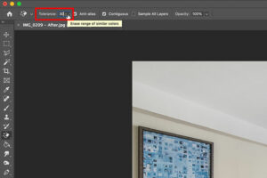 How to Remove a Specific Color in Photoshop (3 Techniques)
