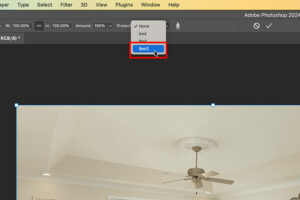 How to Scale an Image in Photoshop Without Distorting (4 Tips)